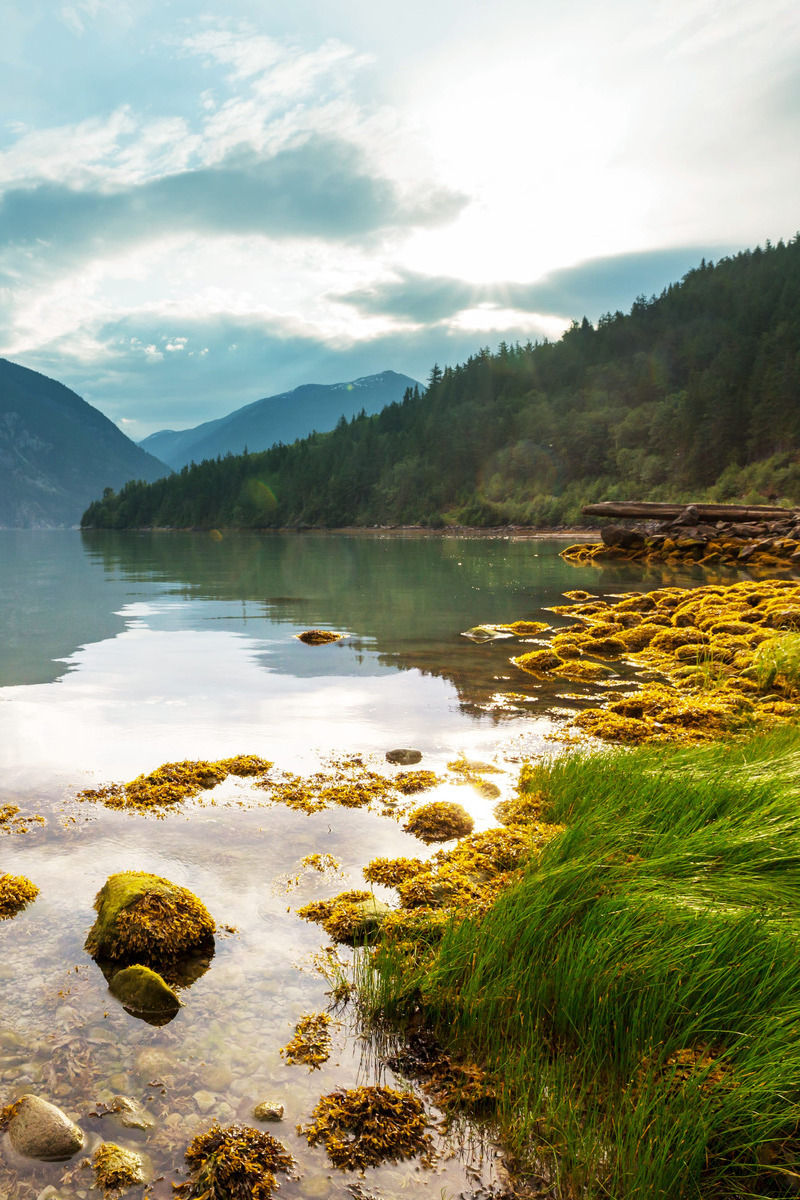Bella Coola Valley, Tweedsmuir Provincial Park & Kleena Kleene Area ...